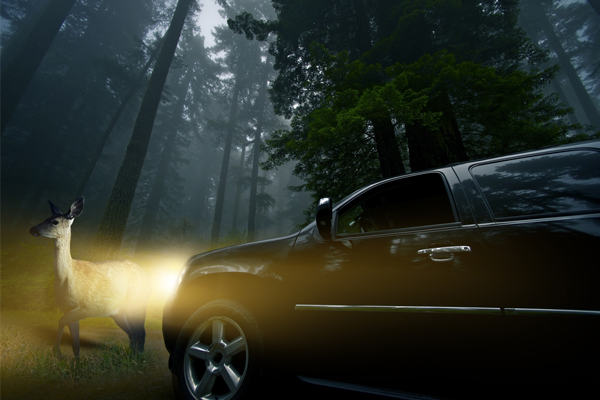Fall Driving Safety Tips | Liberty AutoGlass